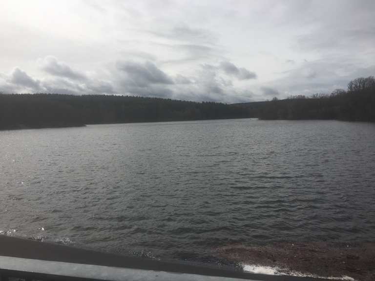 Steinbachtalsperre: Wanderungen und Rundwege | komoot