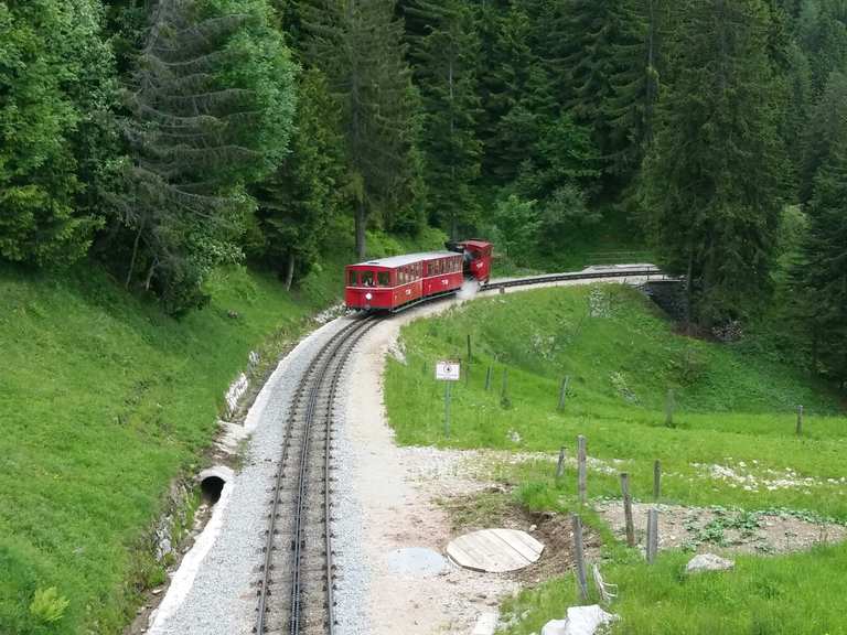 Schafbergalm – Station der Bergbahn Routes for Walking and Hiking | Komoot