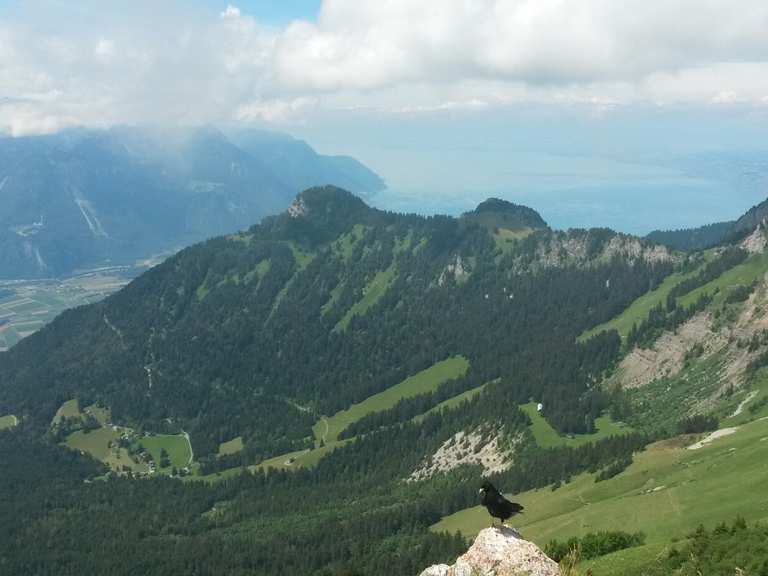 Berneuse Routes for Walking and Hiking | Komoot