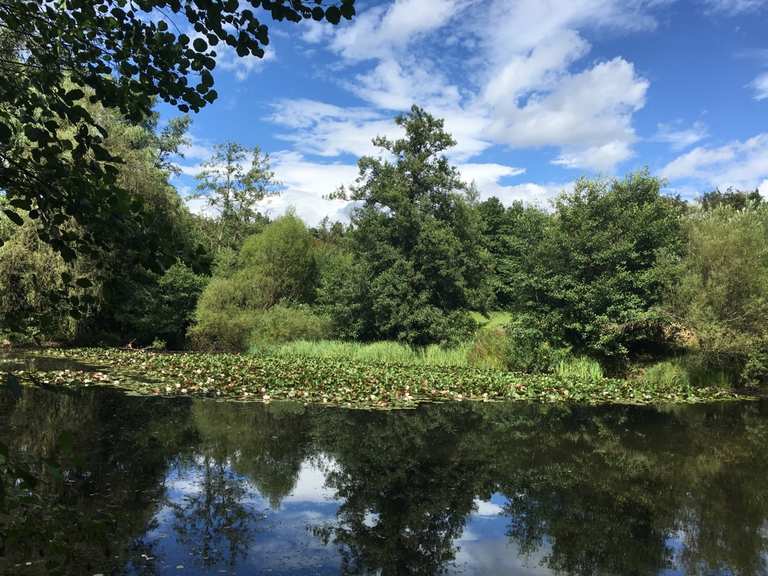 Hermannsee Routes for Walking and Hiking | Komoot