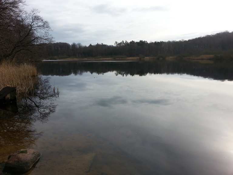 Roikier See Routes for Walking and Hiking | Komoot