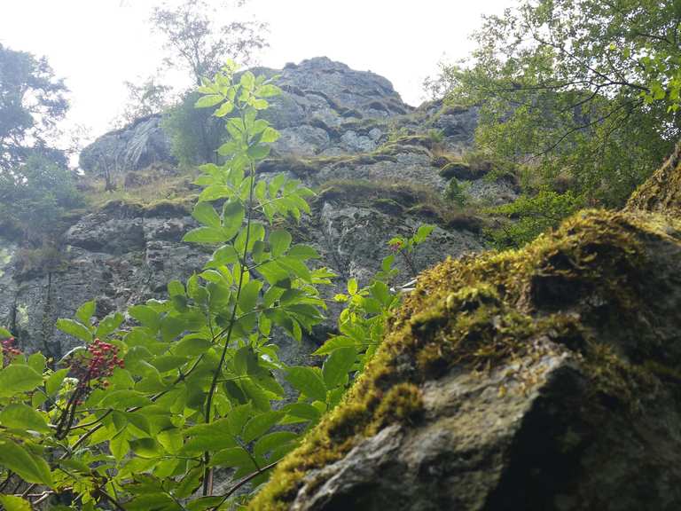 Bornstein: Wanderungen und Rundwege | komoot