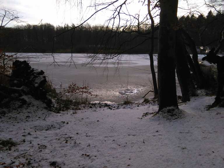 Roikier See Routes for Walking and Hiking | Komoot