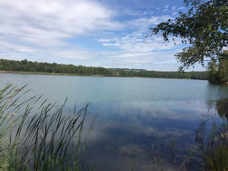 Steinberger See Circular Trail Routes for Walking and Hiking | Komoot