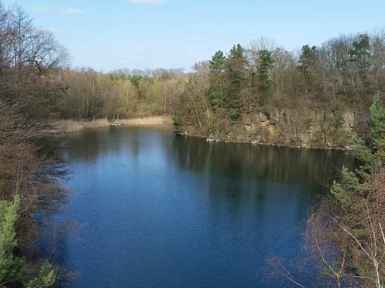 Oberwaldsee & Vogelsberger See : Radtouren und Radwege | komoot