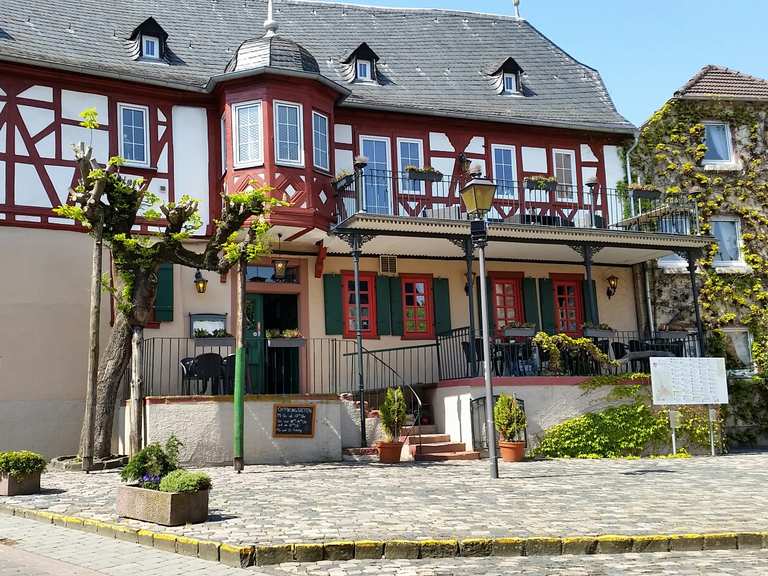 Kiedrich: Wanderungen und Rundwege | komoot