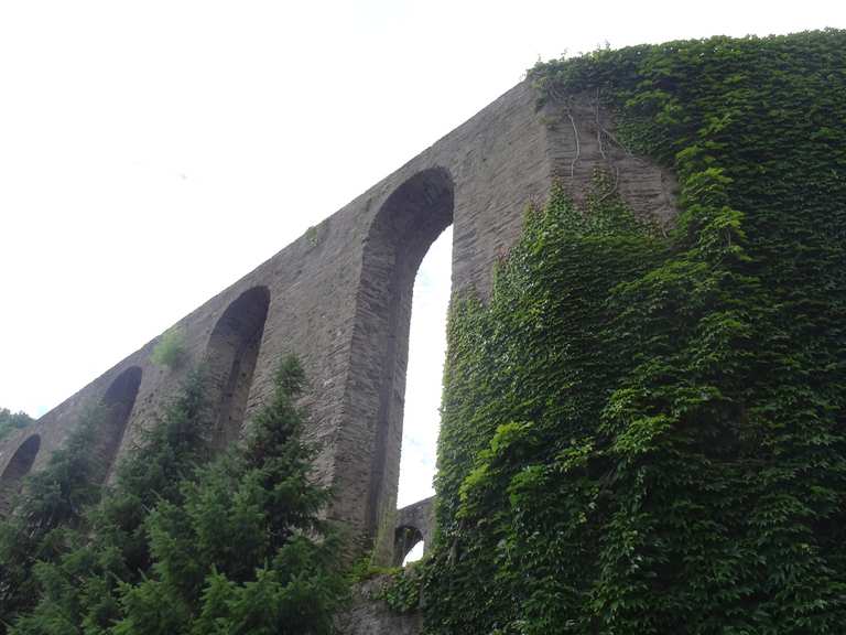 Kloster Marienthal Routes for Walking and Hiking | Komoot