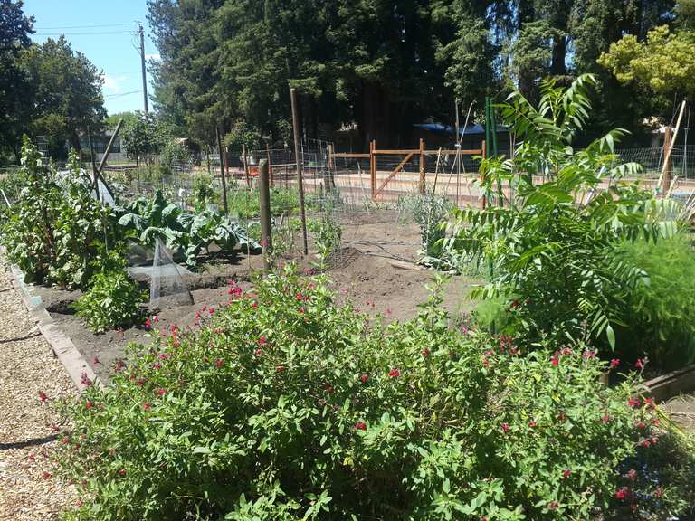 Juilliard Park, Santa Rosa Routes for Walking and Hiking | Komoot