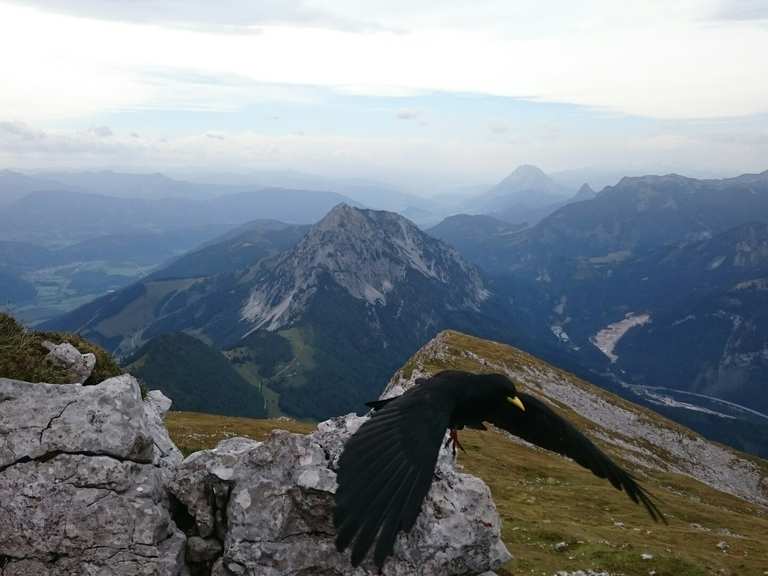 Großer Pyhrgas Routes for Walking and Hiking | Komoot