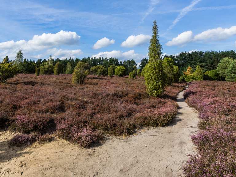 Naturschutzgebiet Heiliger Hain: Wanderungen und Rundwege | komoot