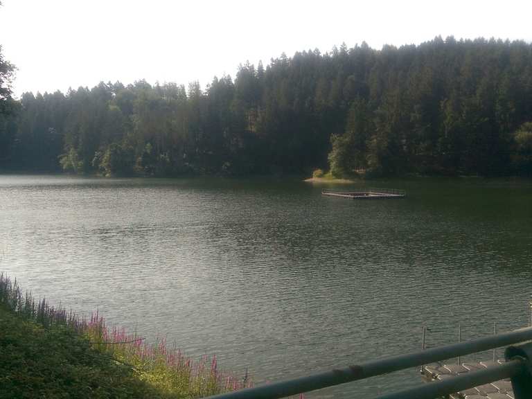 Sengbachtalsperre Routes for Walking and Hiking | Komoot