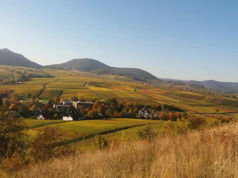Kleine Kalmit mit Kapelle: Wanderungen und Rundwege | komoot