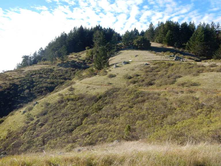 Old Mine Trail (lower) 🌲 Mountain Bike Trails & Tracks | Komoot
