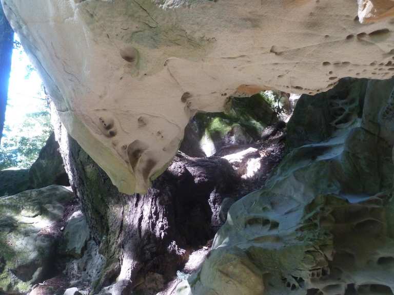 Tafoni Sandstone Formation - California, United States of America ...