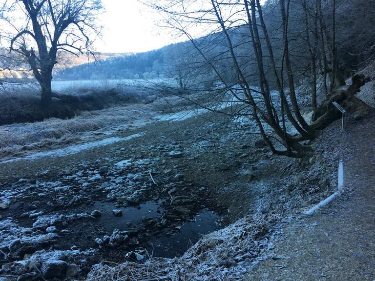 Donauversickerung - Routes for Walking and Hiking | Komoot