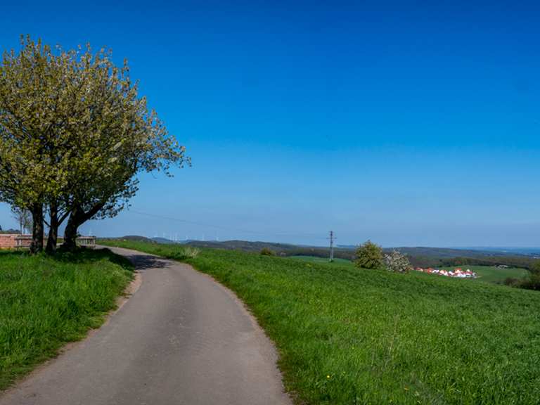 Aussichtspunkt Reuschbacher Höhe : Radtouren und Radwege | komoot