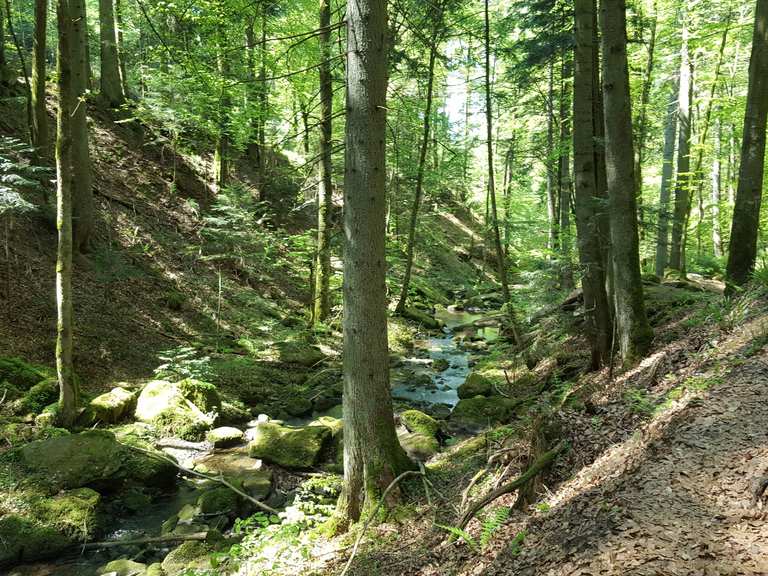 Monbachtal-Schlucht: Wanderungen und Rundwege | komoot