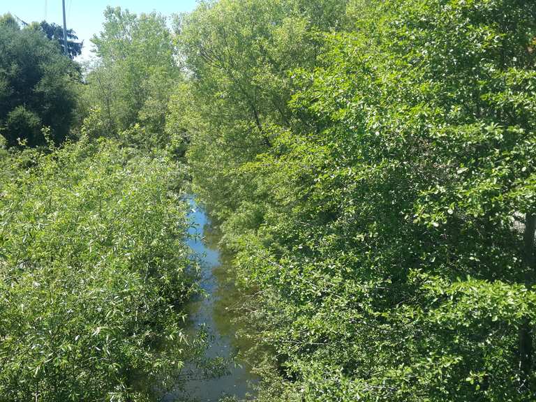 Juilliard Park, Santa Rosa Routes for Walking and Hiking | Komoot