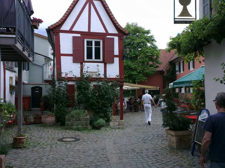 Altstadt Freinsheim : Radtouren und Radwege | komoot