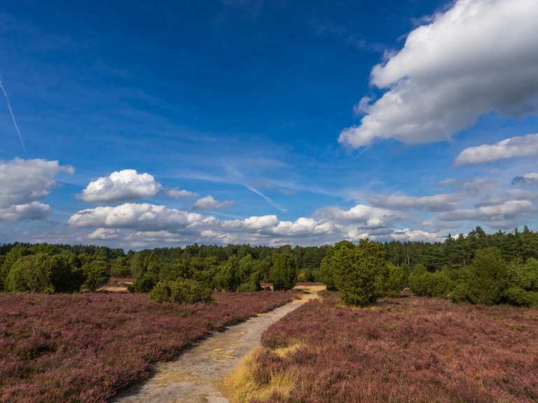 Naturschutzgebiet Heiliger Hain: Wanderungen und Rundwege | komoot