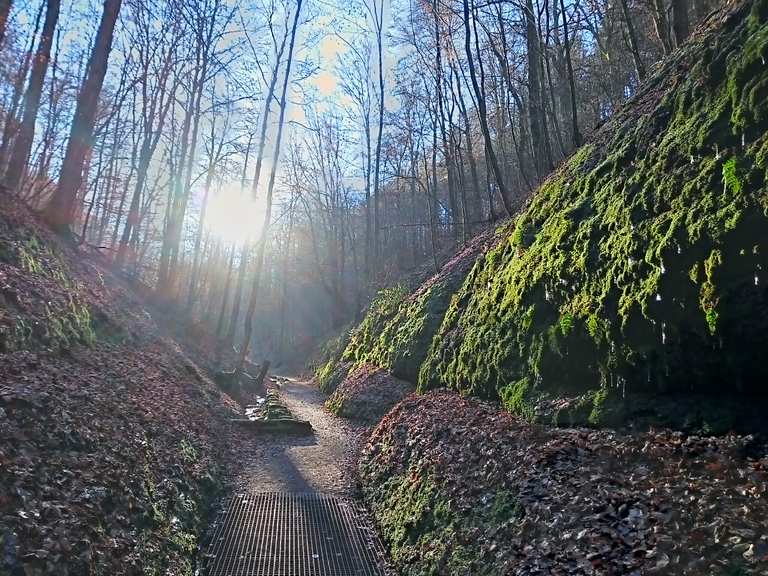 Drachenschlucht - Thuringia, Germany | Hiking Tips & Photos | Komoot
