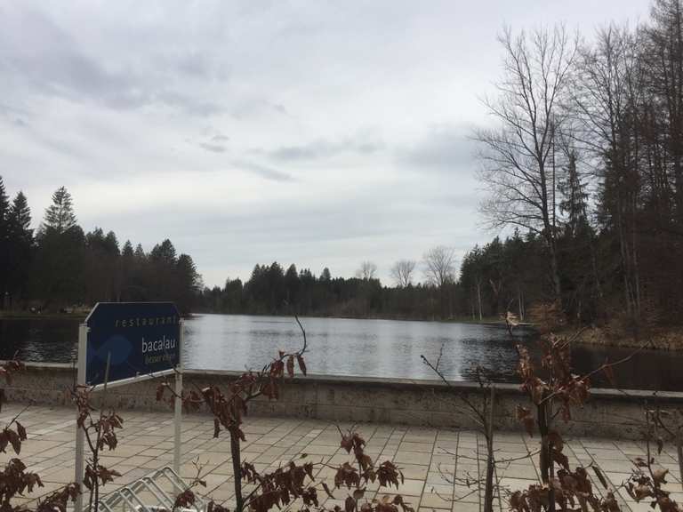 Waldsee bei Lindenberg - Lindenberg im Allgäu, Lindau (Bodensee ...