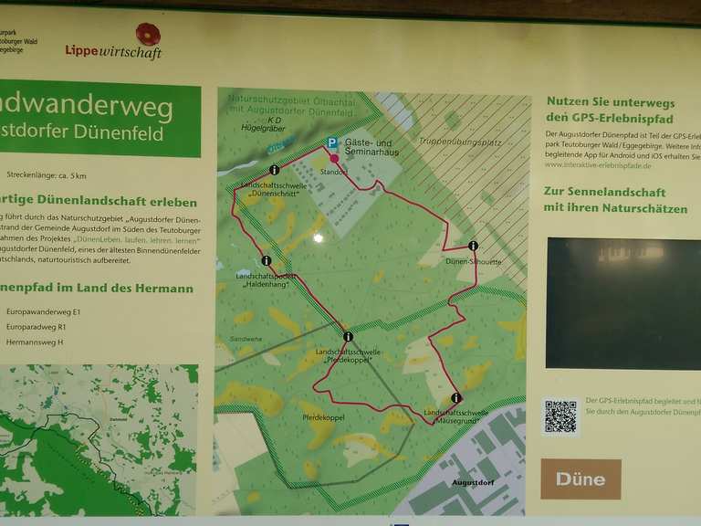 Augustdorf Dune Field Routes for Walking and Hiking | Komoot