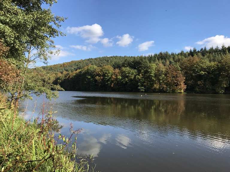 Berg und Tal um Fulda – Outdoor-Initiative #rausundlos | ride | Komoot