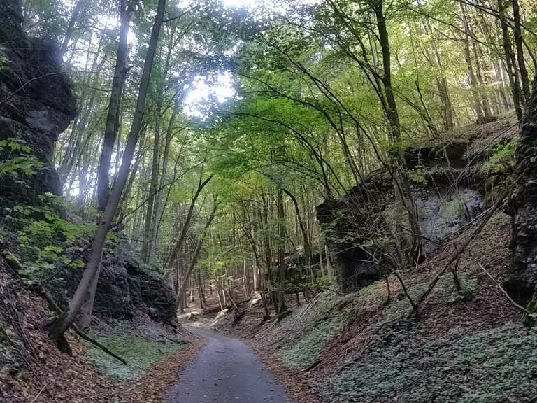 Blick auf Schloss Greifenstein – „Fachwerkdorf“ Frankendorf Runde von ...