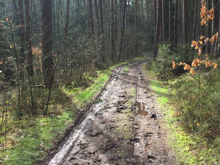 Heidenberg: Mountainbike-Touren und -Trails | komoot