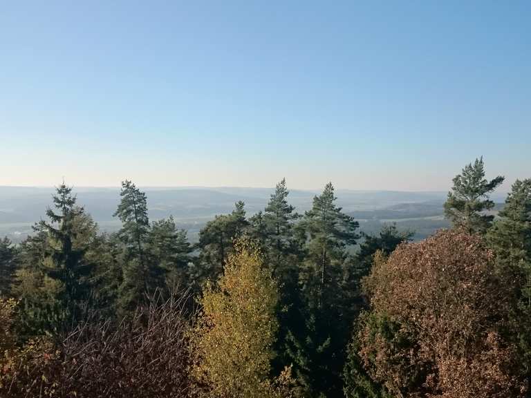 Patersberg-Turm „Schau dich um“: Mountainbike-Touren und -Trails | komoot