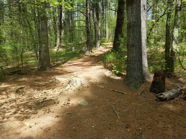 Coco Ridge Trail, Birch Trail, & Red Tail Trail loop — Callahan State ...