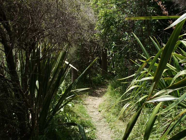 He Atawhai ki te Whenua: Wanderungen und Rundwege | komoot