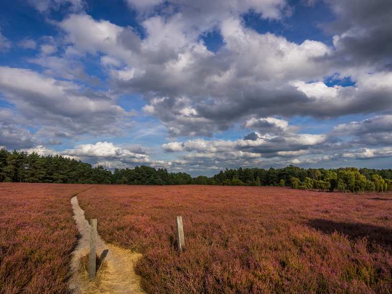 Naturschutzgebiet Heiliger Hain: Wanderungen und Rundwege | komoot