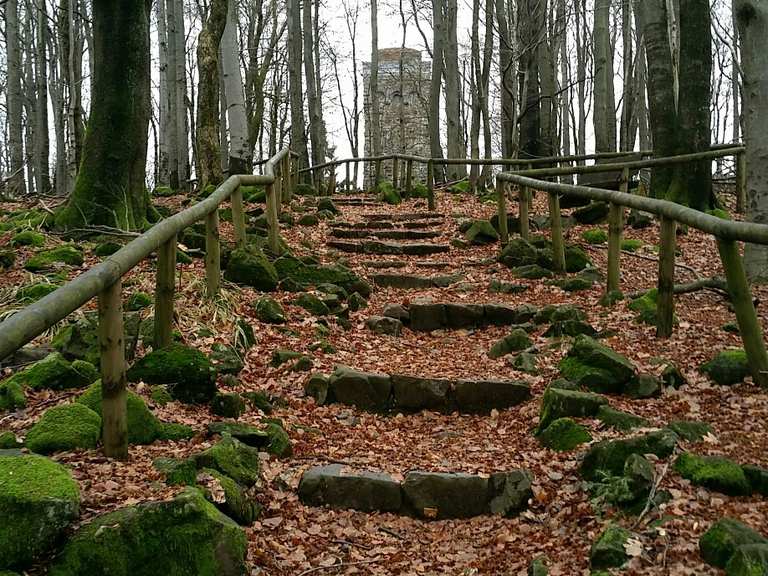 Taufstein: Wanderungen und Rundwege | komoot