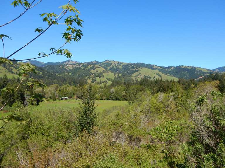 Mattole river valley 🌿 near Honeydew: Rutas de ciclismo de carretera ...