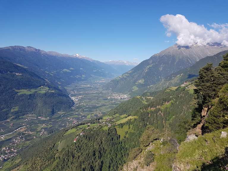 Blick auf Meran und das Etschtal von der Hochmuth.: Wanderungen und ...