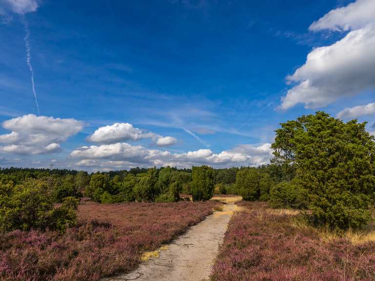 Naturschutzgebiet Heiliger Hain: Wanderungen und Rundwege | komoot