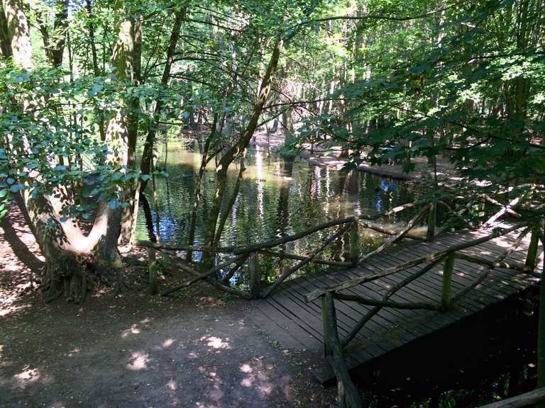 Wildgehege im Spandauer Forst wandelroutes en hikes | Komoot