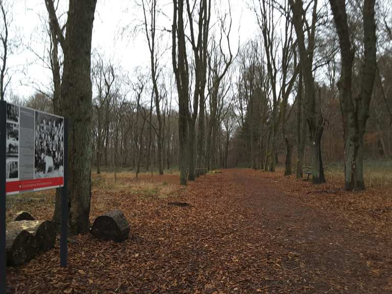 Dudweiler Elefant – Brennender Berg Runde von Sulzbach (Saar ...