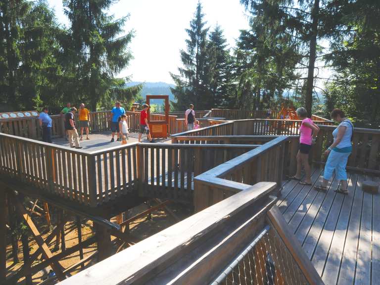 Kopfing treetop path Routes for Walking and Hiking | Komoot