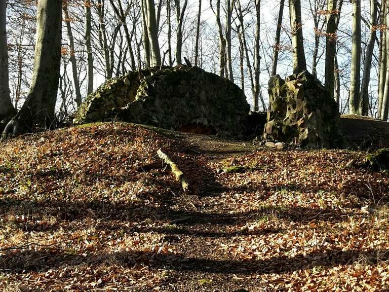 Ruine Hirschburg: Wanderungen und Rundwege | komoot