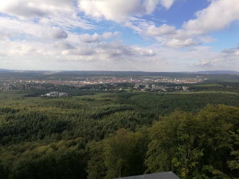 Humbergturm - Palatinate, Rhineland-Palatinate | Hiking Tips & Photos ...