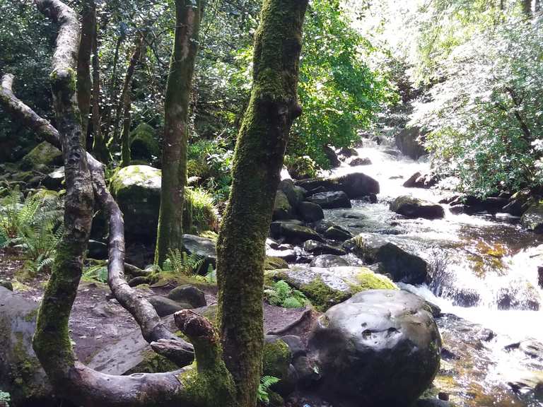 Torc Waterfall - Kerry, Munster | Hiking Tips & Photos | Komoot