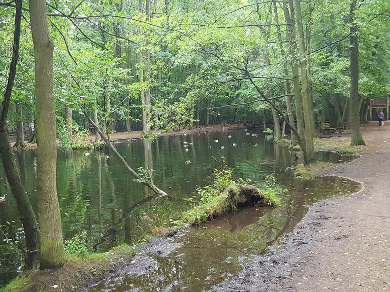 Wildgehege im Spandauer Forst wandelroutes en hikes | Komoot