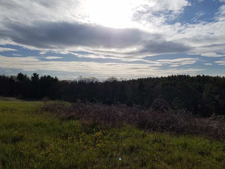 Coco Ridge Trail, Birch Trail, & Red Tail Trail loop — Callahan State ...