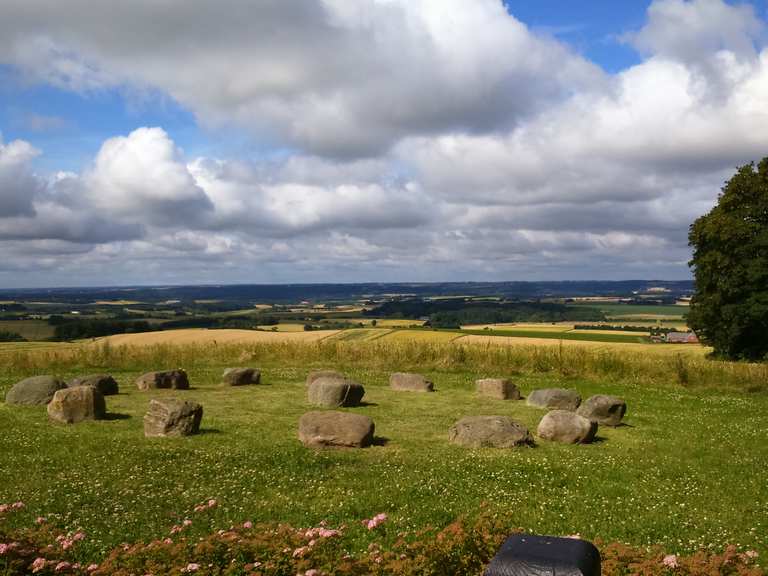 Ejer Bjerge – Yding Skovhøj Runde von Ry | Rennrad-Tour | Komoot