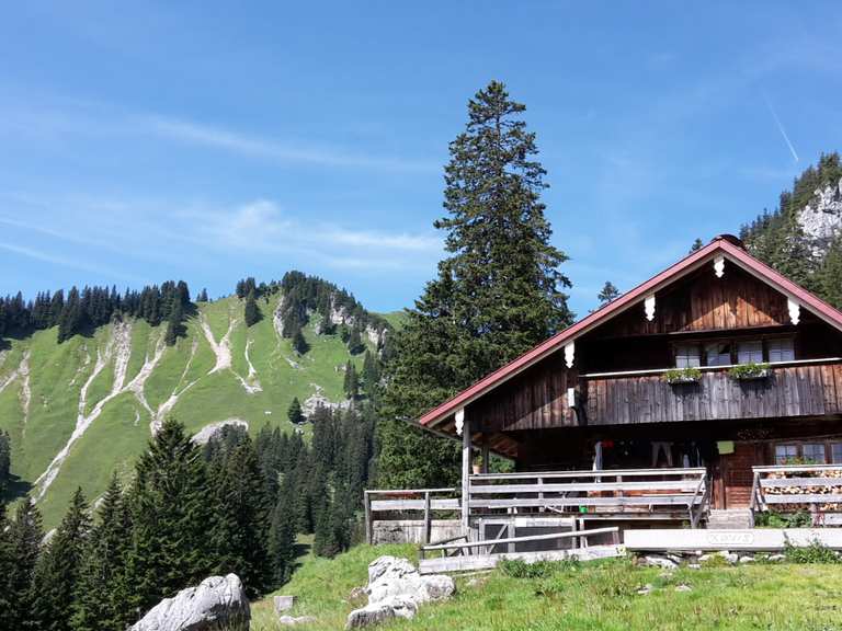 Obere Firstalm: Wanderungen und Rundwege | komoot