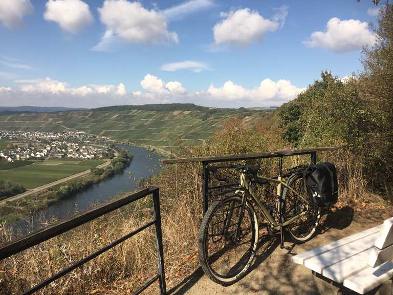 Mosel Panorama Weg - Trittenheim nach Klüsserath Cycle Routes and Map ...