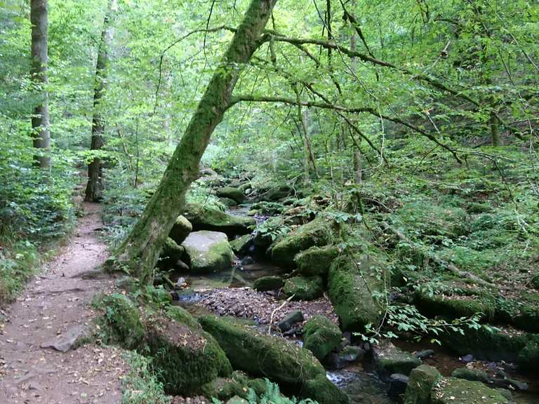 Monbachtal - Bad Liebenzell, Calw | Hiking Tips & Photos | Komoot